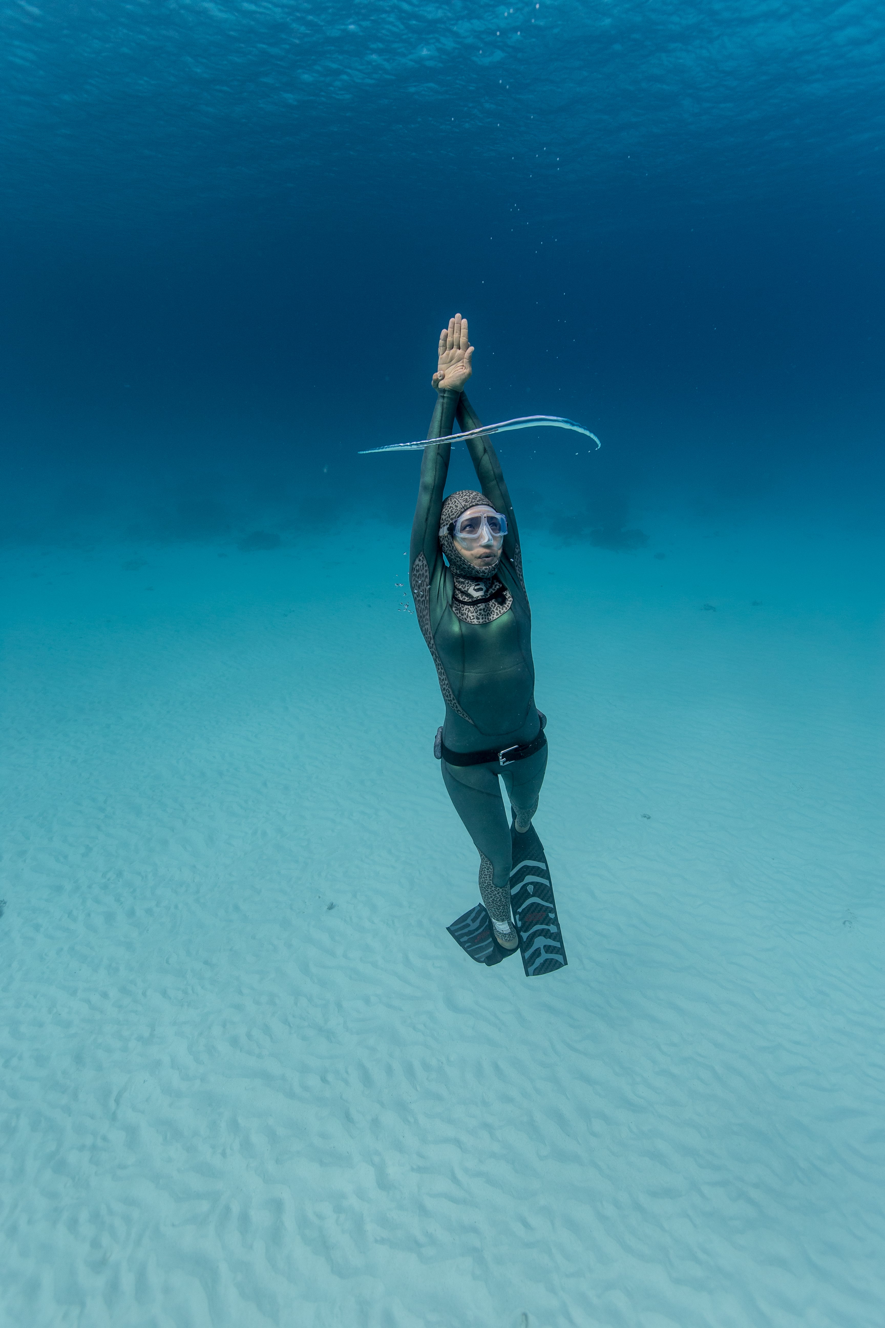 Discovering Freediving
