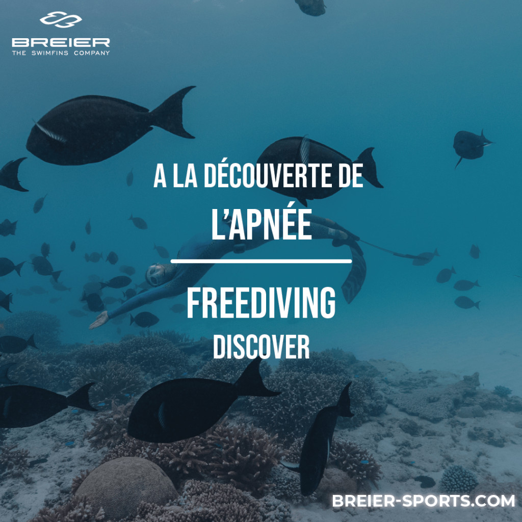 Discovering Freediving